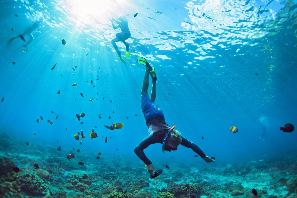 Plongée avec tuba à Bonaire